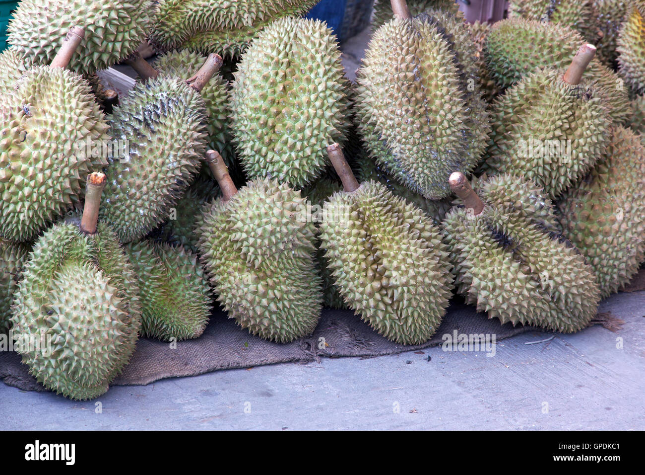 Giant Durian