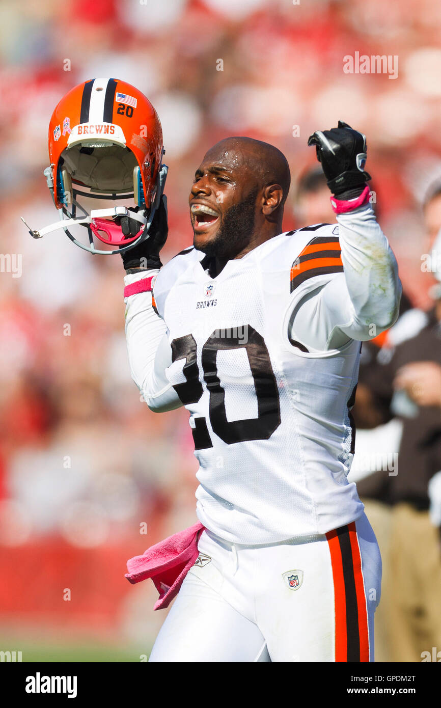 Mike Adams Steelers