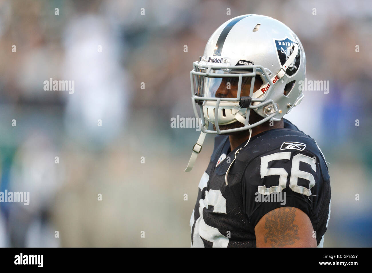 Darryl blackstock hi-res stock photography and images - Alamy