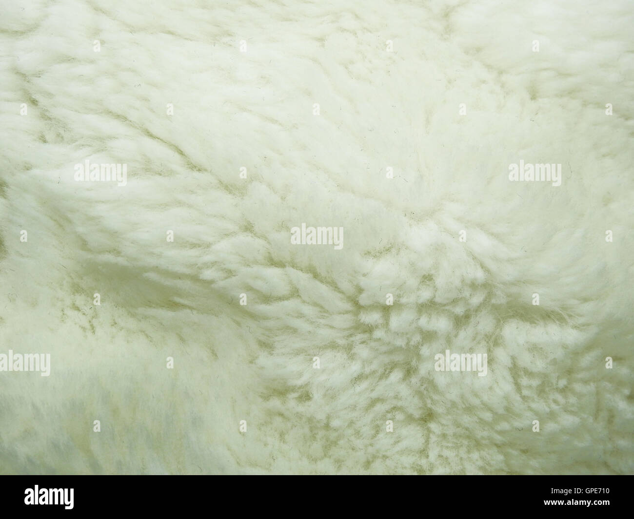Monotone texture of the fur Stock Photo - Alamy