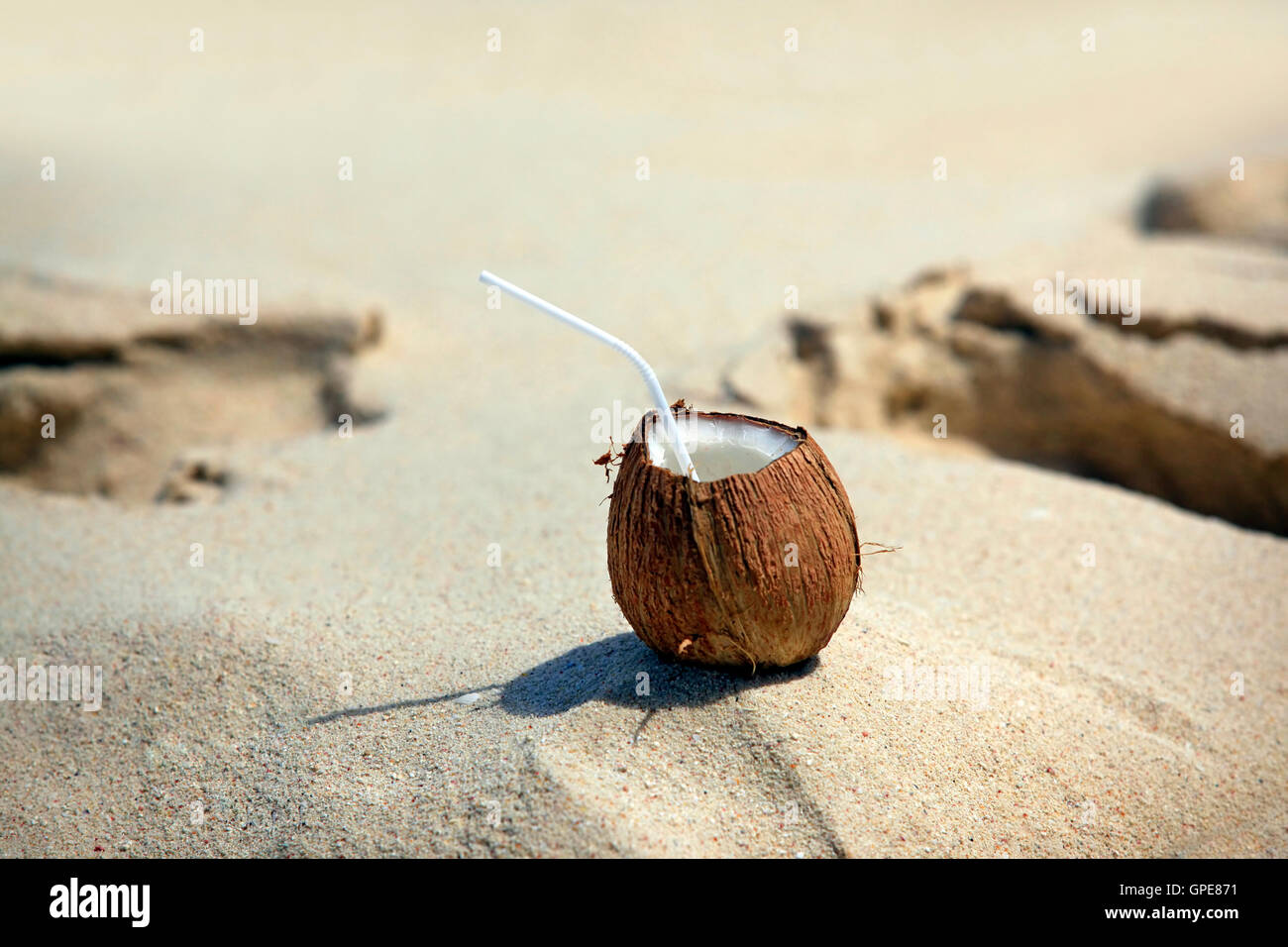 Coconut on beach background Stock Photo - Alamy
