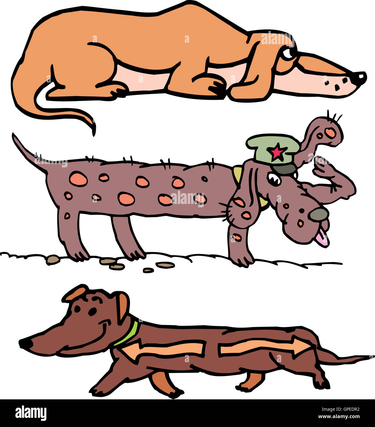 Set of funny slim dogs. Vector cartoon illustrations Stock Photo - Alamy