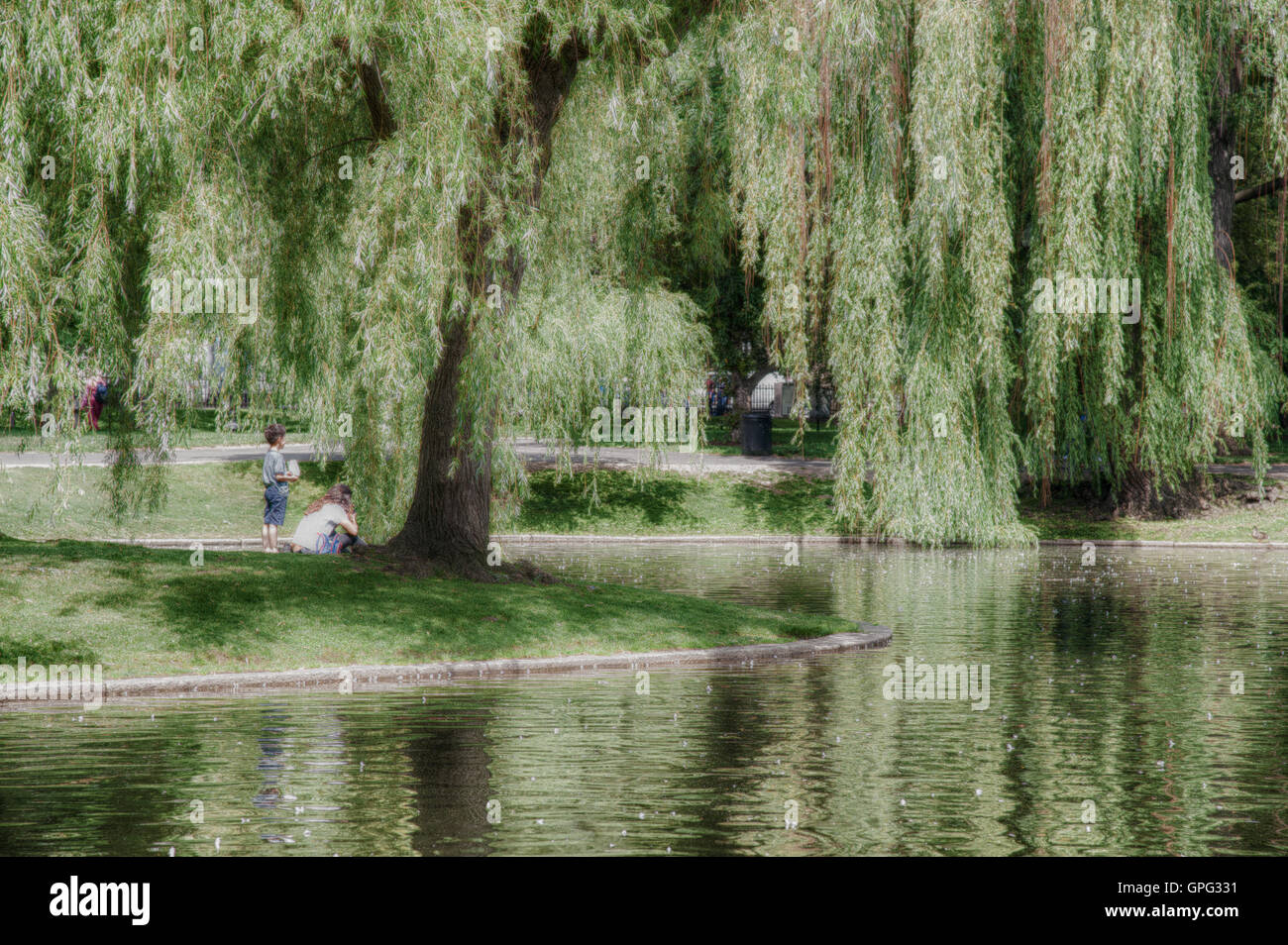 Willow tree garden gardens hi-res stock photography and images - Alamy