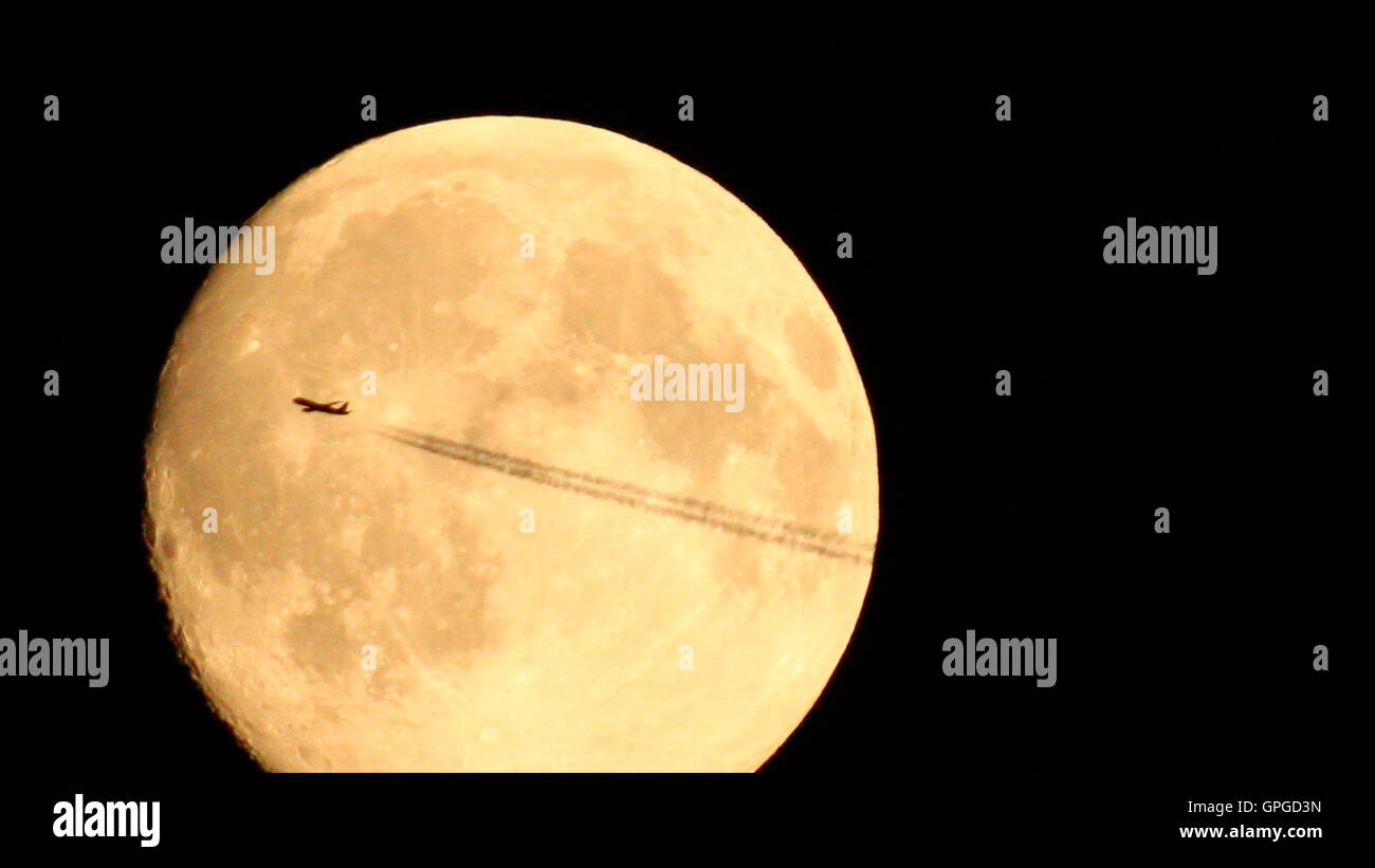 Steve foulkes hi-res stock photography and images - Alamy