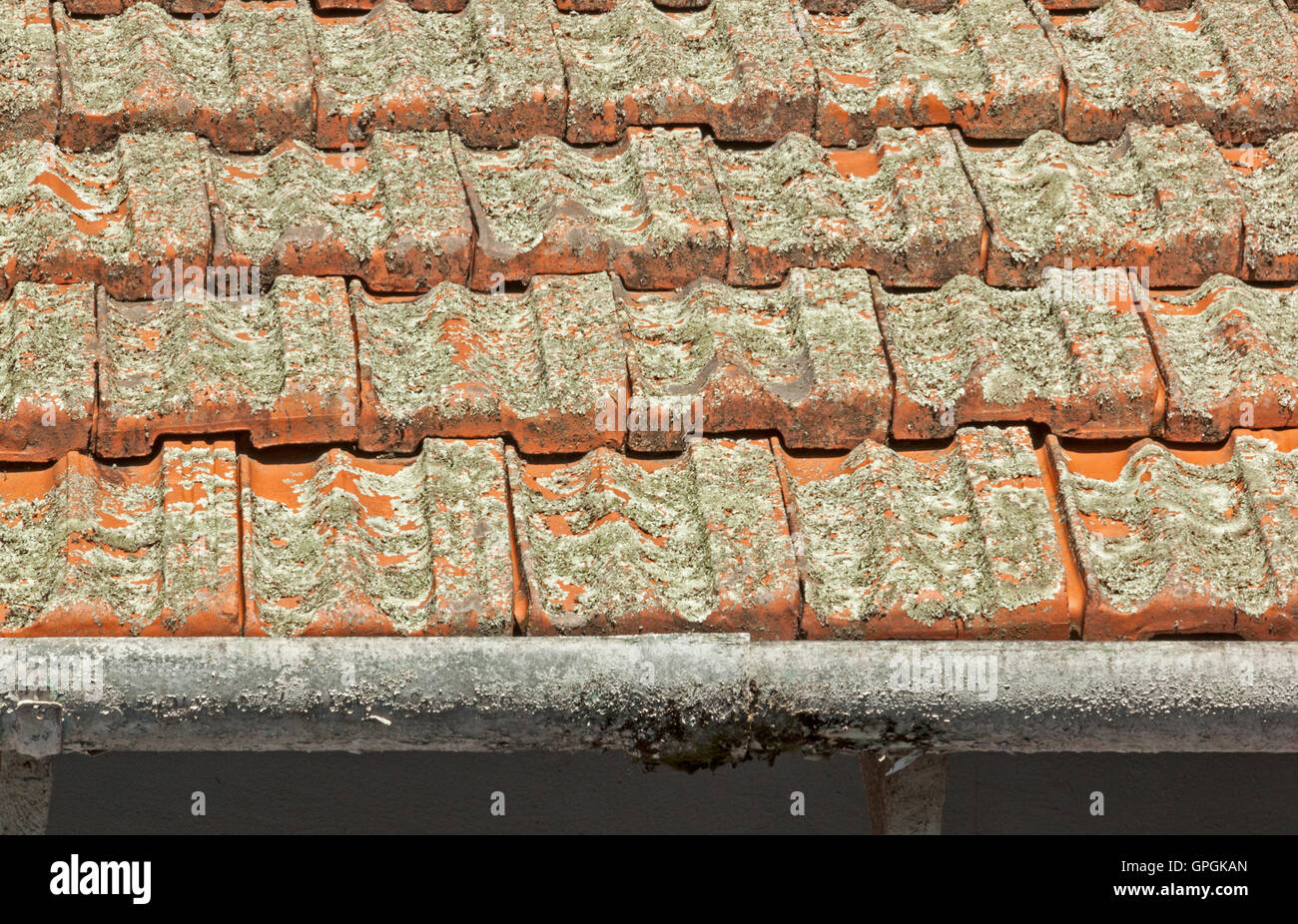 Terracotta gutter hi-res stock photography and images - Alamy