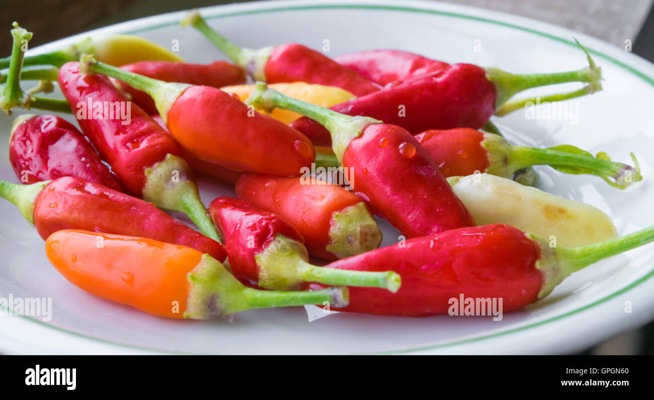 Food plate on papers hi-res stock photography and images - Alamy