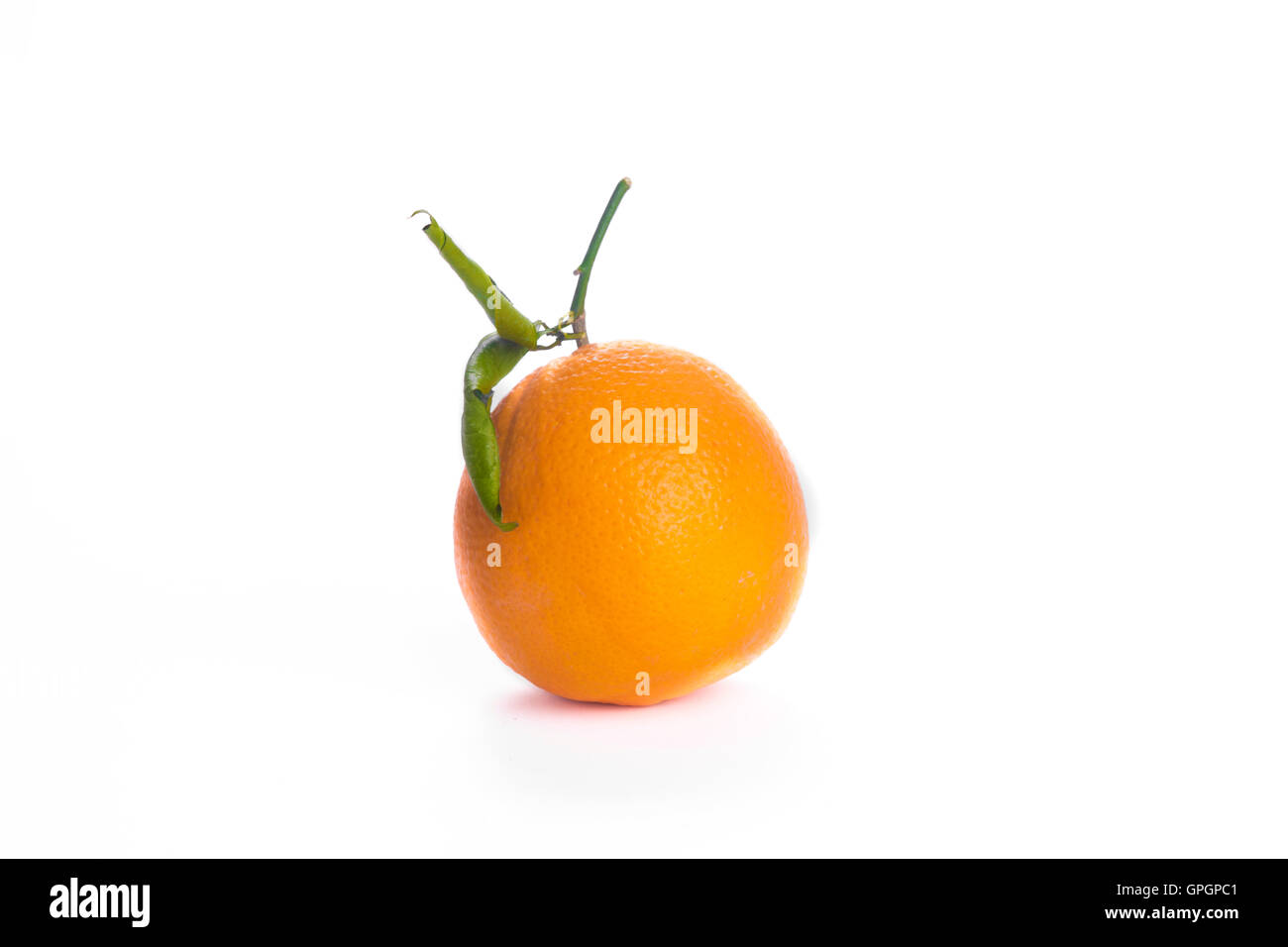 Lonely orange isolated on white background Stock Photo - Alamy