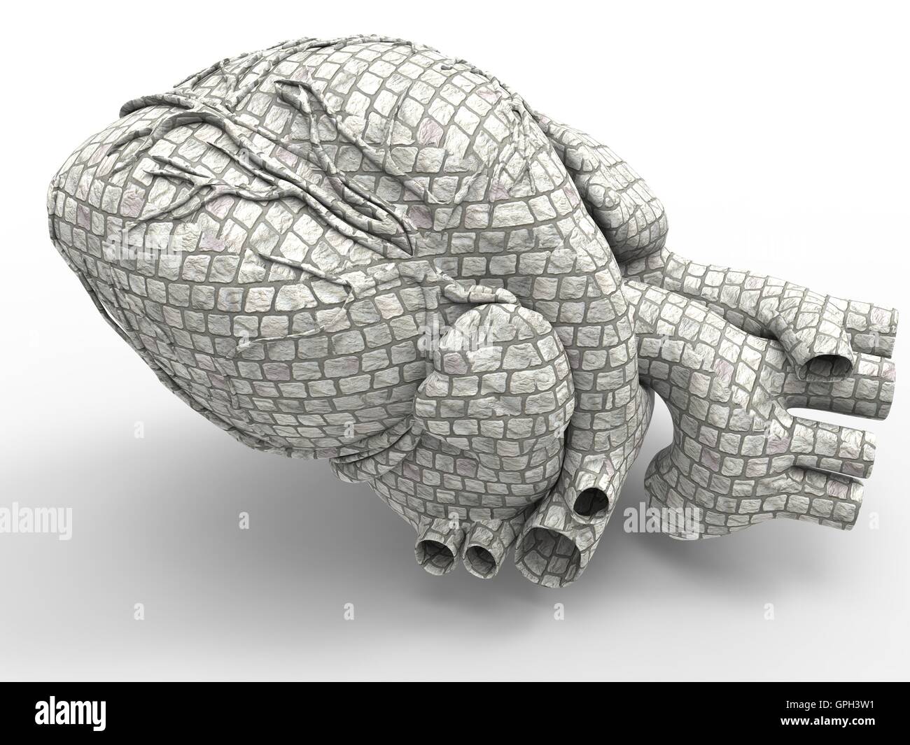 Model of artificial human heart Stock Photo - Alamy