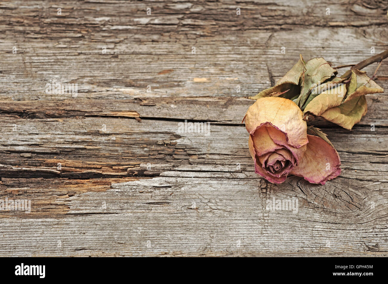 Dry rose on old wood background with copy space Stock Photo - Alamy