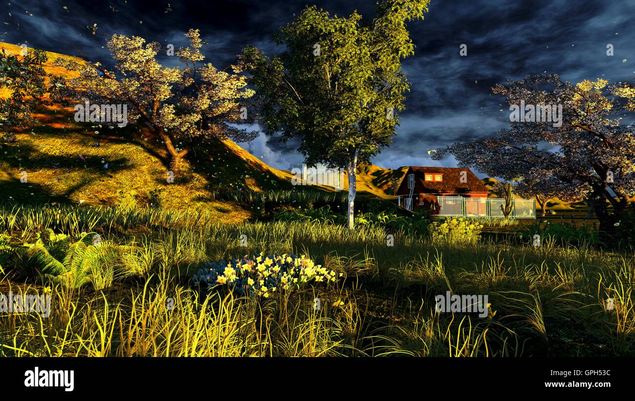 Orchard in early spring time Stock Photo - Alamy