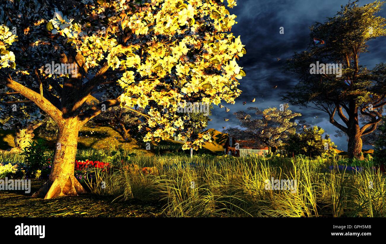 Orchard in early spring time Stock Photo - Alamy