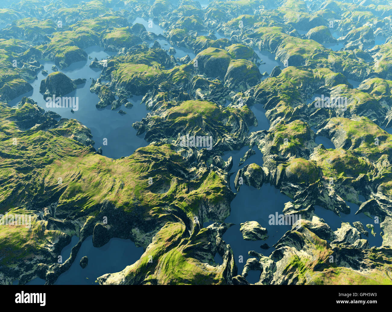 Amazon Rainforest Birds Eye View