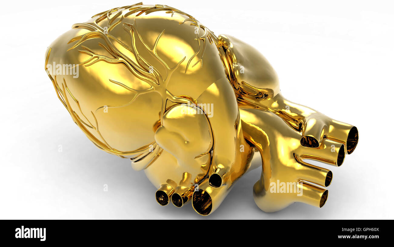Model of human heart - heart of gold Stock Photo - Alamy