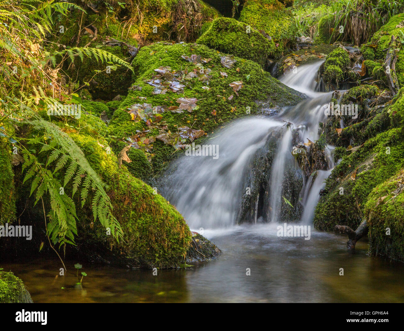 Rivers and waterfalls on Dartmoor in Devon Stock Photo - Alamy