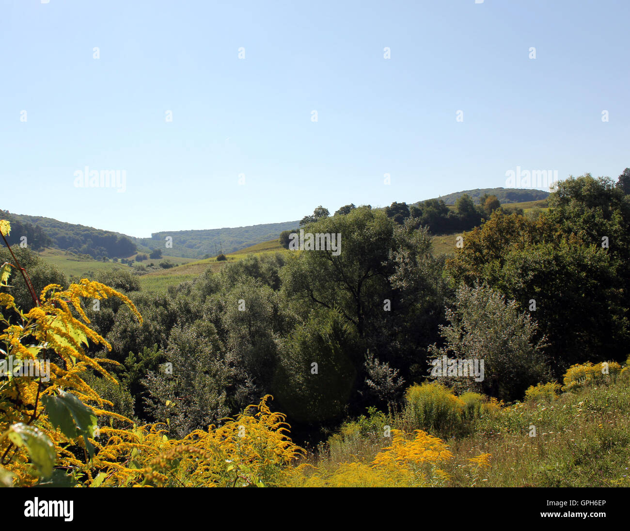 Summer background landscape Stock Photo - Alamy