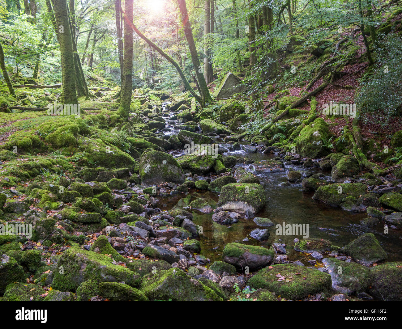 Rivers and waterfalls on Dartmoor in Devon Stock Photo - Alamy