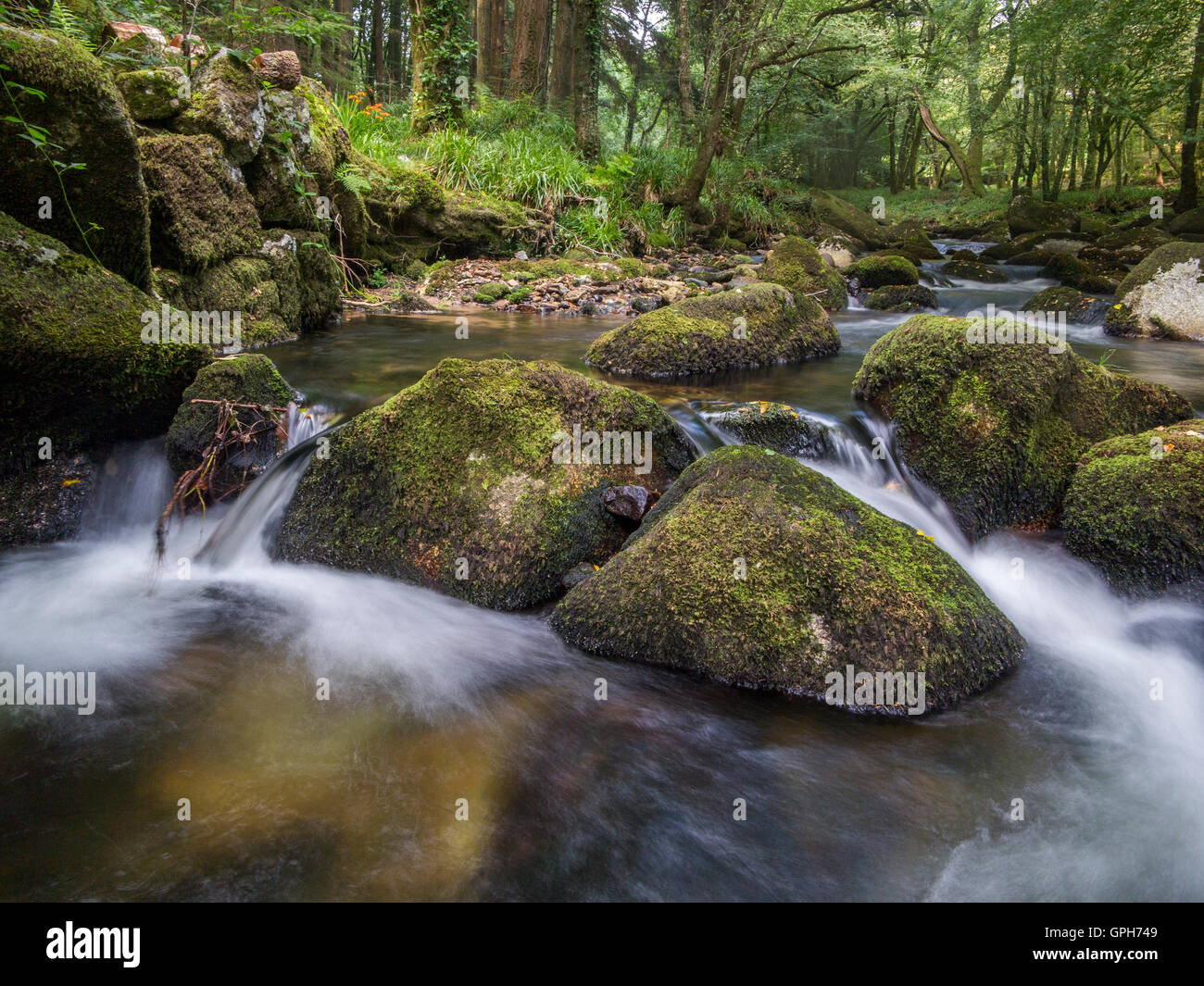 Rivers and waterfalls on Dartmoor in Devon Stock Photo - Alamy