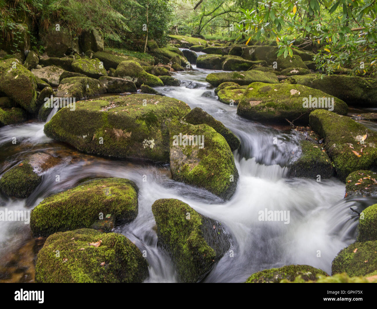 Rivers and waterfalls on Dartmoor in Devon Stock Photo - Alamy
