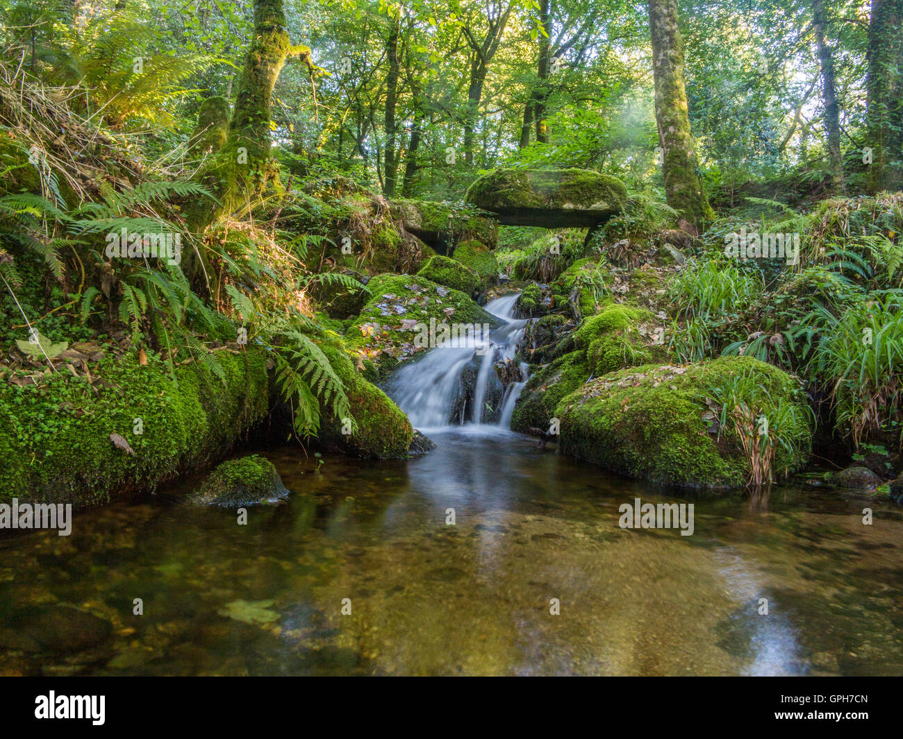 Rivers and waterfalls on Dartmoor in Devon Stock Photo - Alamy