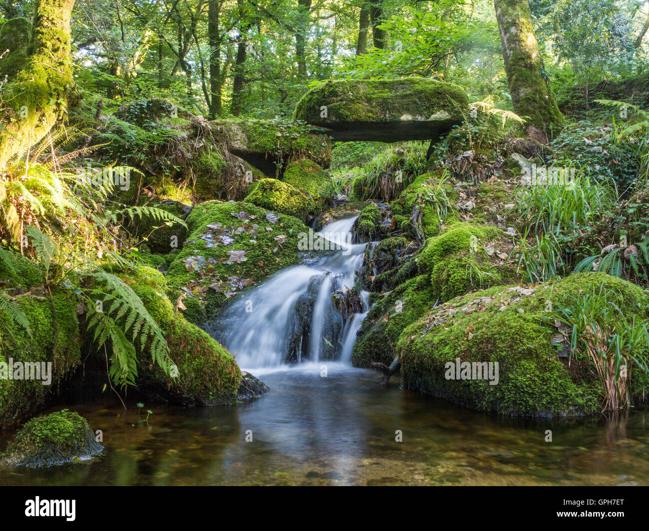 Rivers and waterfalls on Dartmoor in Devon Stock Photo - Alamy