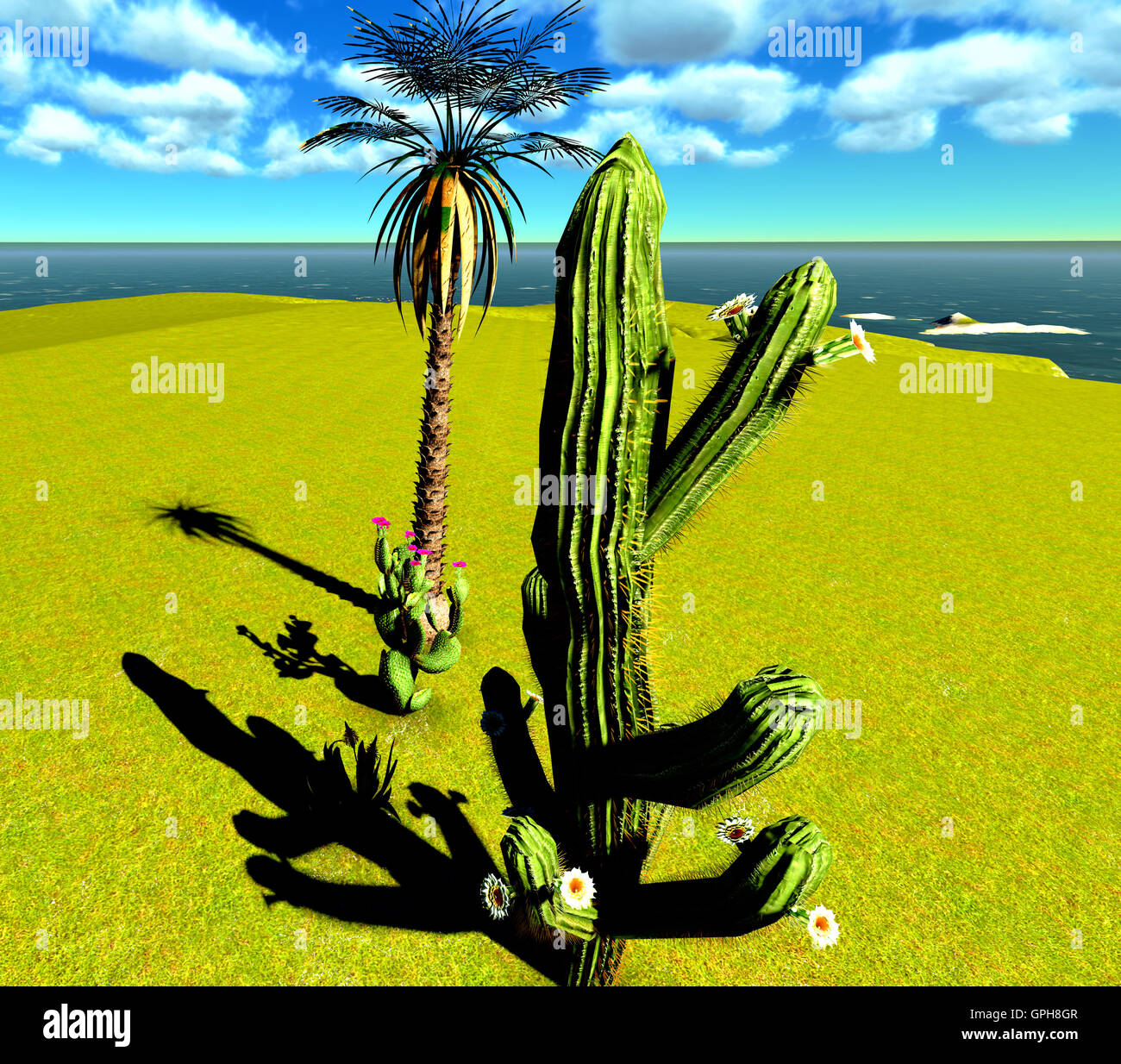 Saguaro cactus flower rocks hi-res stock photography and images - Alamy