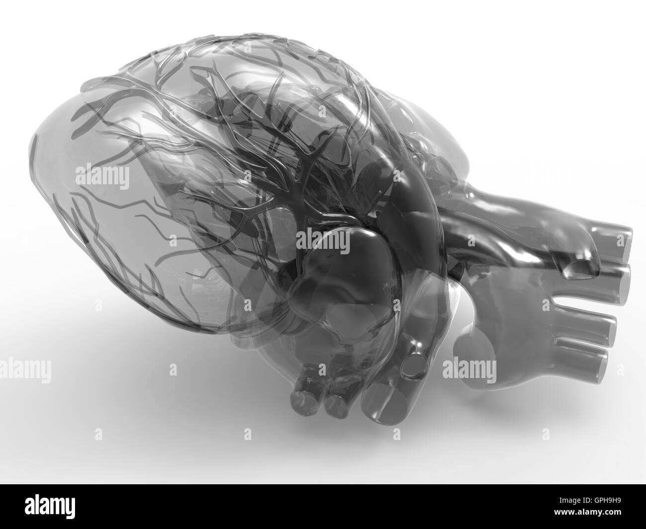 Model of artificial human heart Stock Photo - Alamy