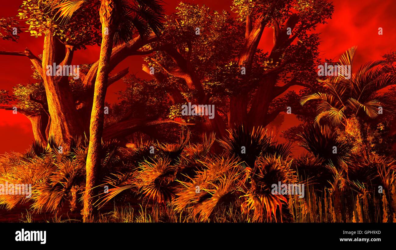 Wetland - swamp Stock Photo - Alamy