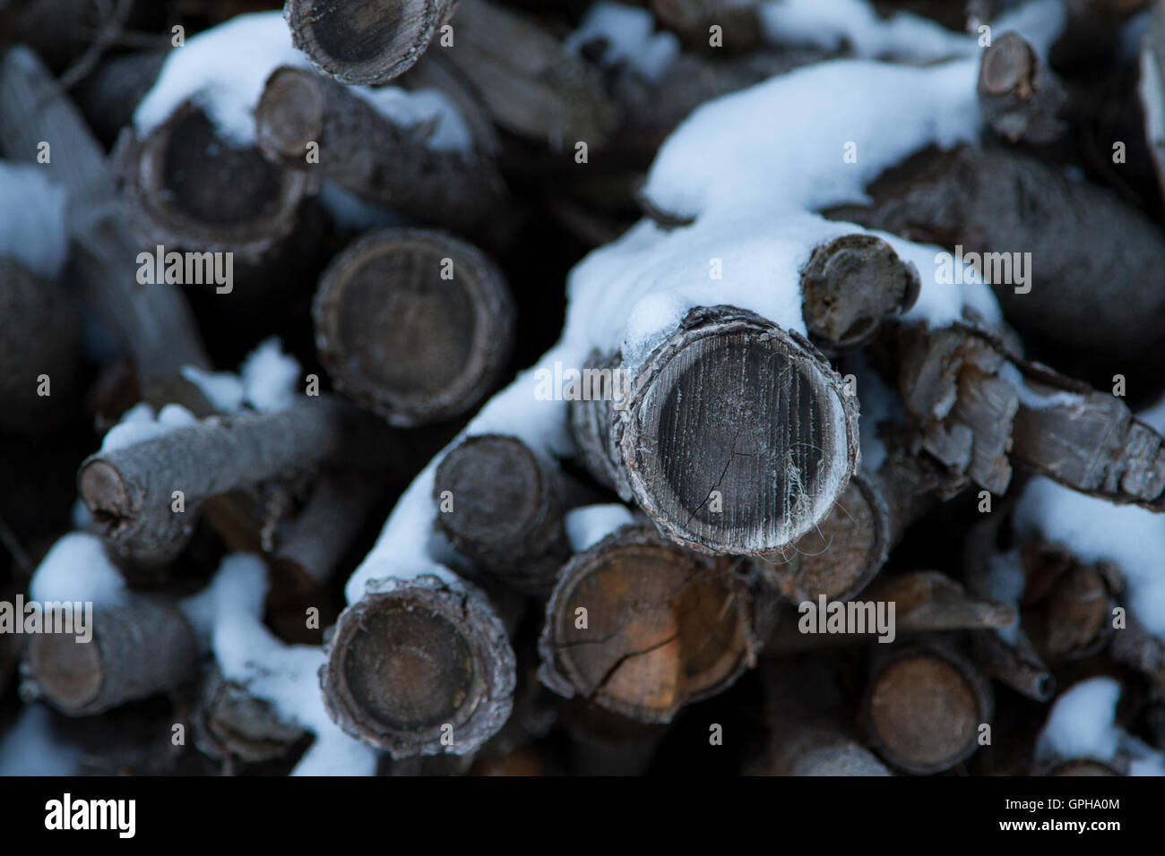 Wood background snow wood texture hi-res stock photography and images ...