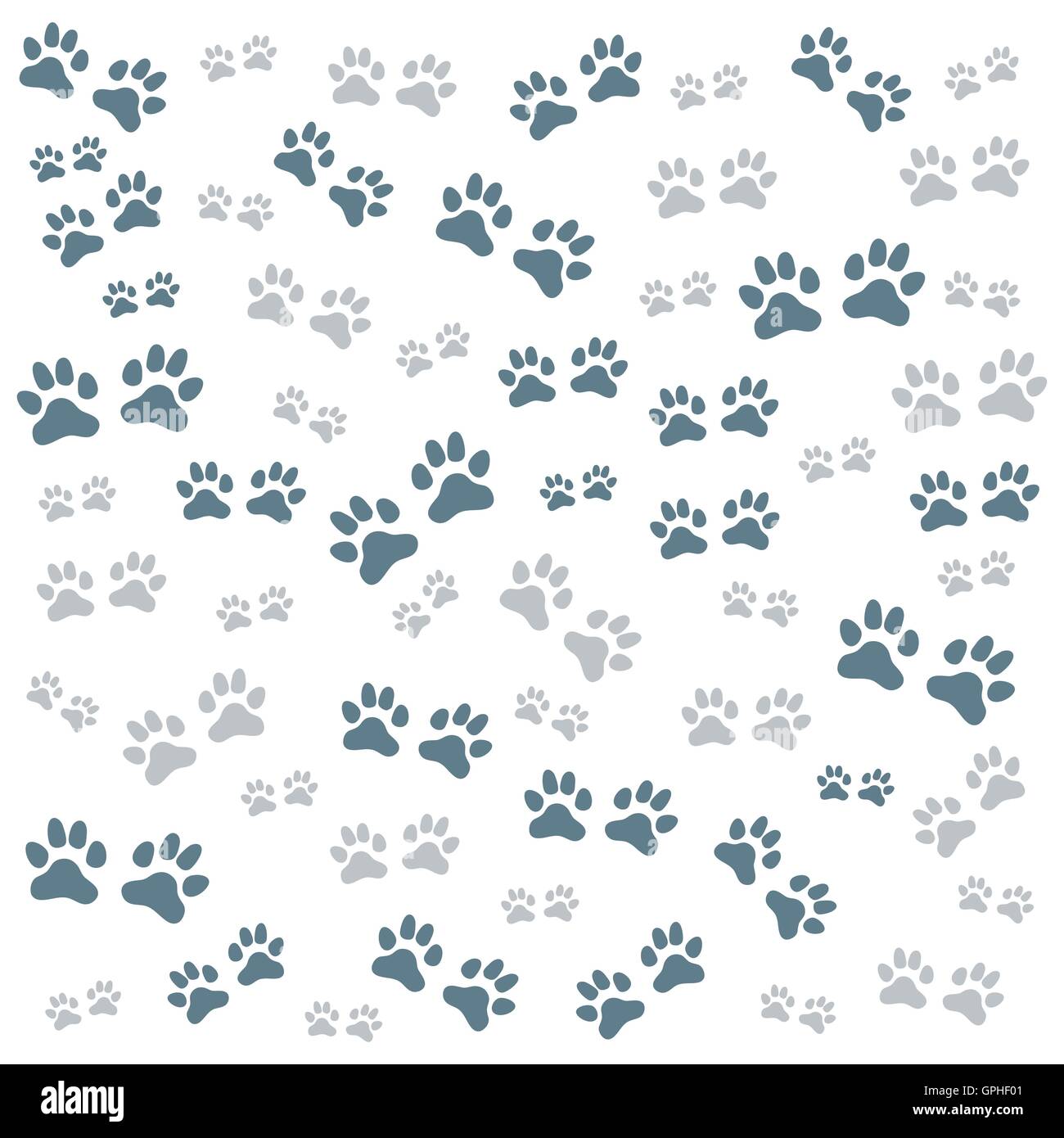 Nice picture of wild animal traces on a white background Stock Vector ...