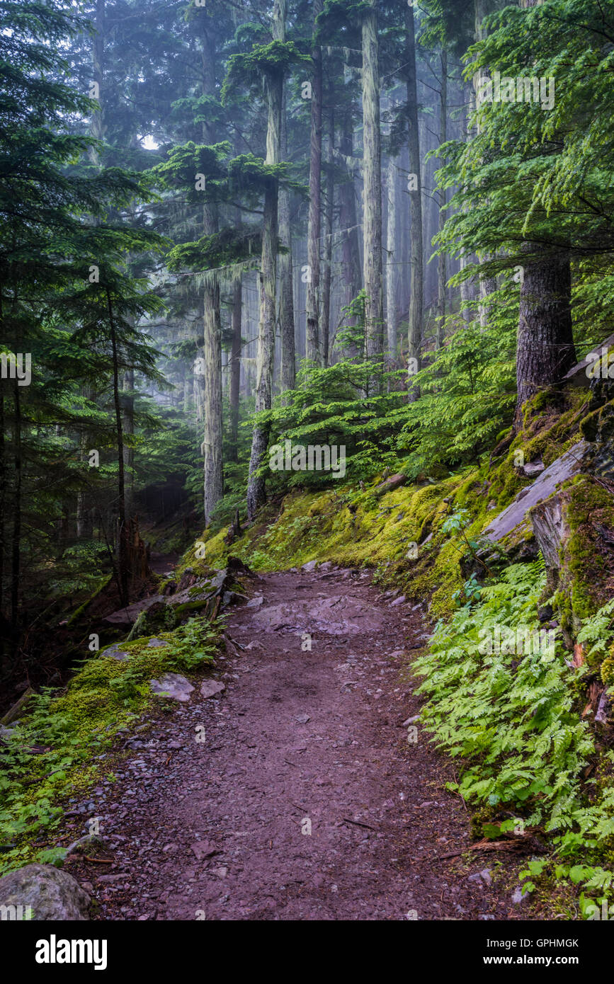 Wet trail hi-res stock photography and images - Alamy