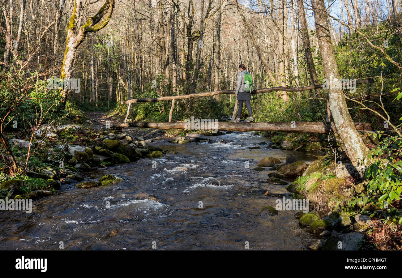 Woman crosses log over stream in forest hi-res stock photography and ...