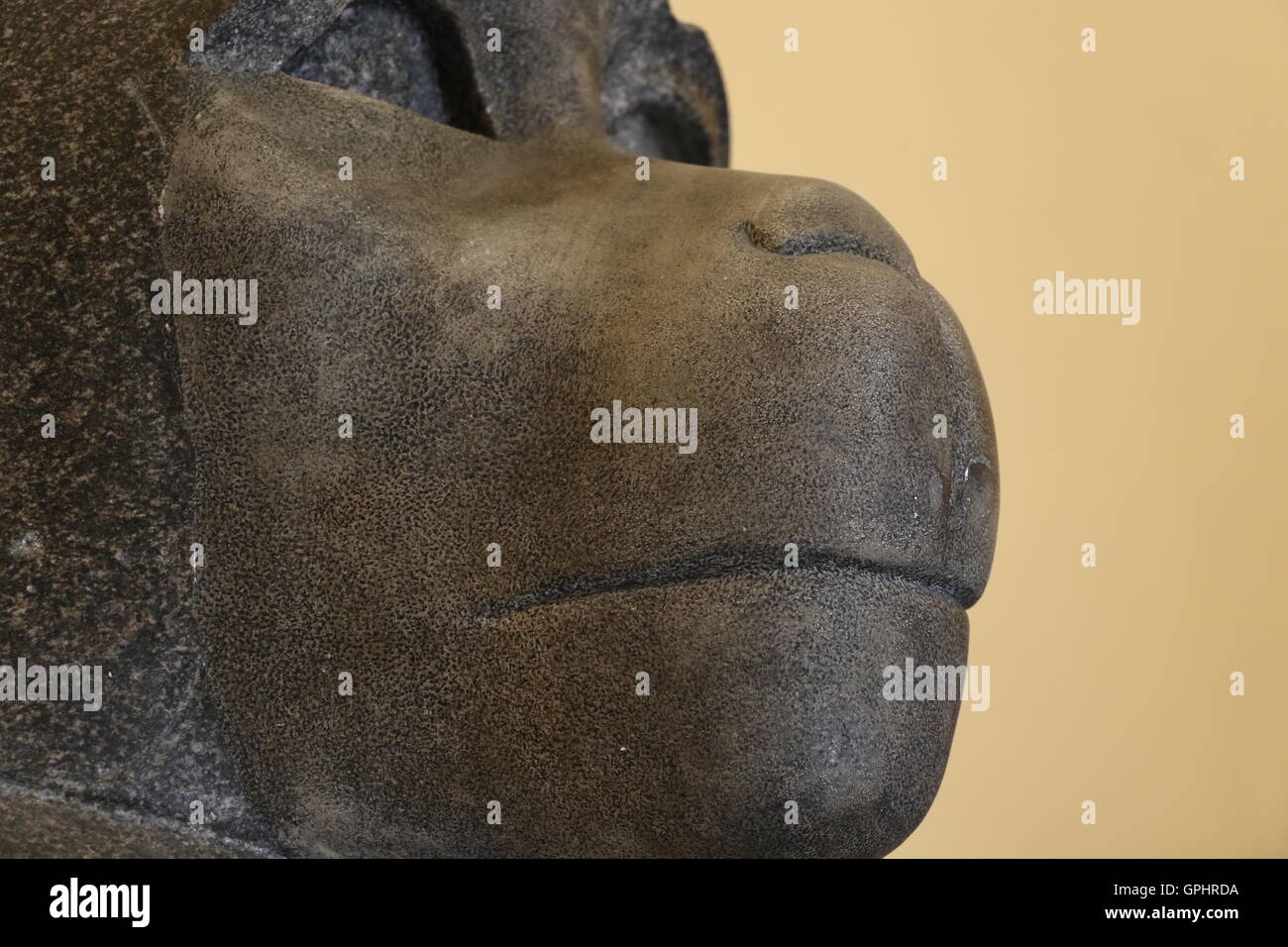 Antique sculpture of a monkey in the Capitoline museums in Rome Stock ...