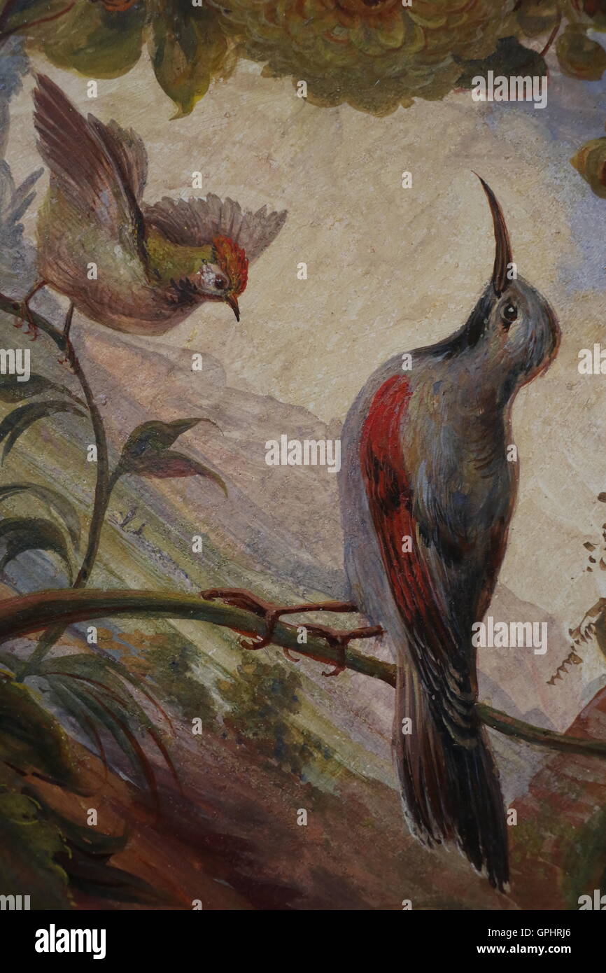 Vatican museums sign hi-res stock photography and images - Alamy