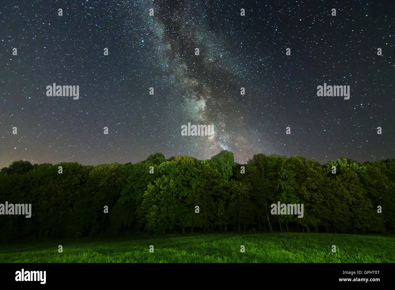 The Milky Way over the trees. Milky way galaxy Stock Photo - Alamy