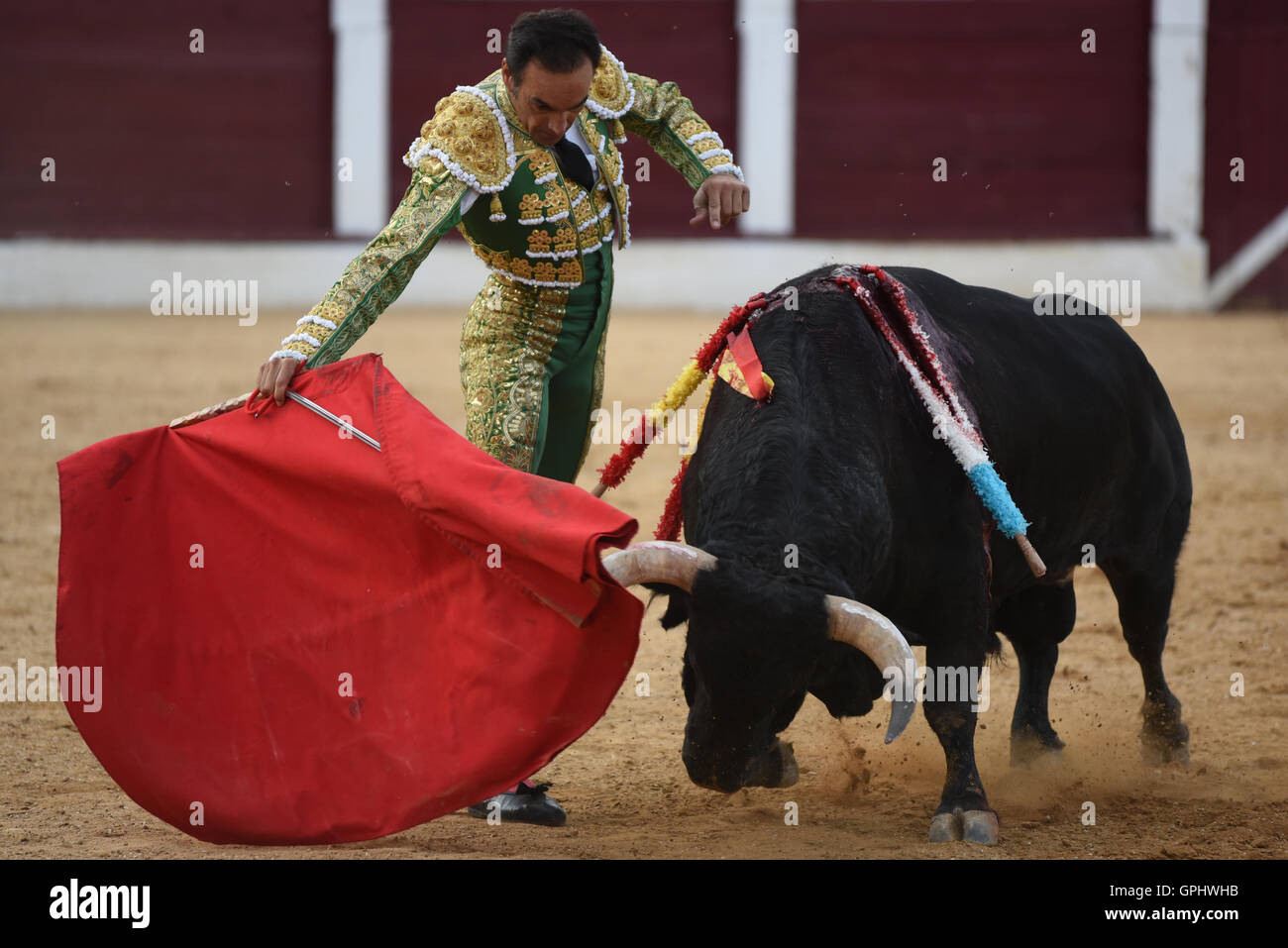 Almazán, Spain. 03rd Sep, 2016. Spanish bullfighter Manuel Jesús Cid ...
