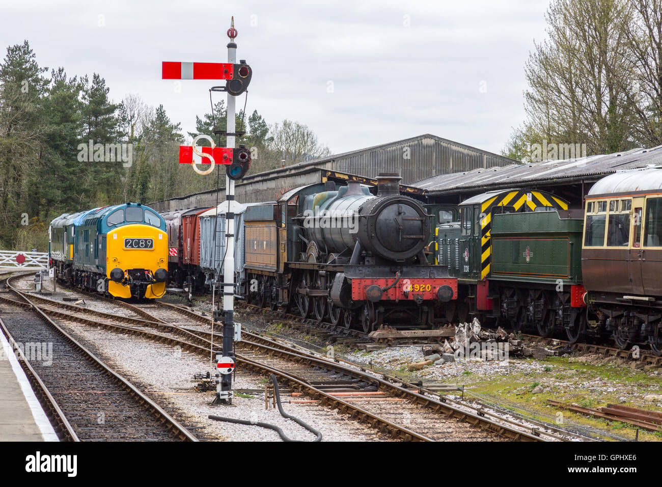 An assortment of heritage steam and diesel locos at Buckfastleigh ...