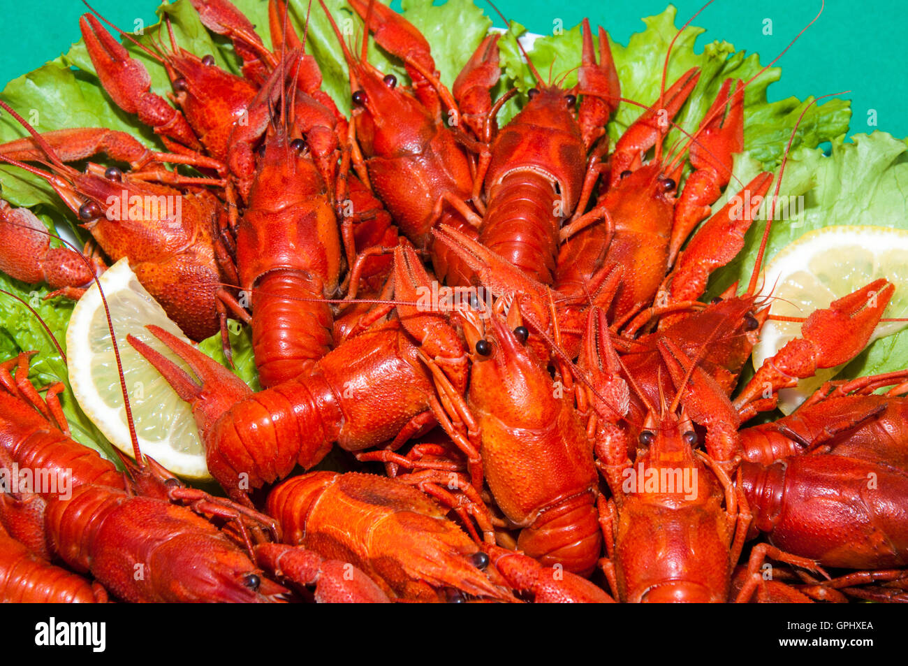 Boiled crayfish a good snack to beer Stock Photo - Alamy