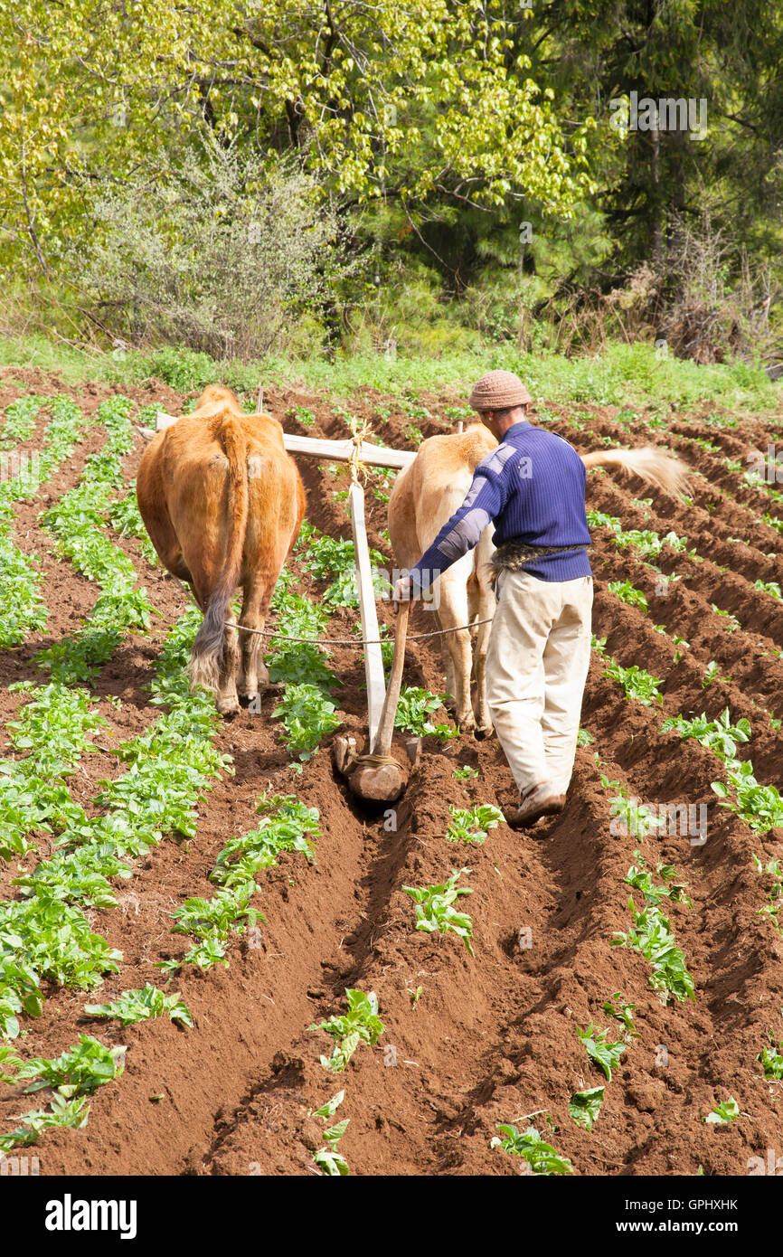 Ploughing without plough hi-res stock photography and images - Alamy