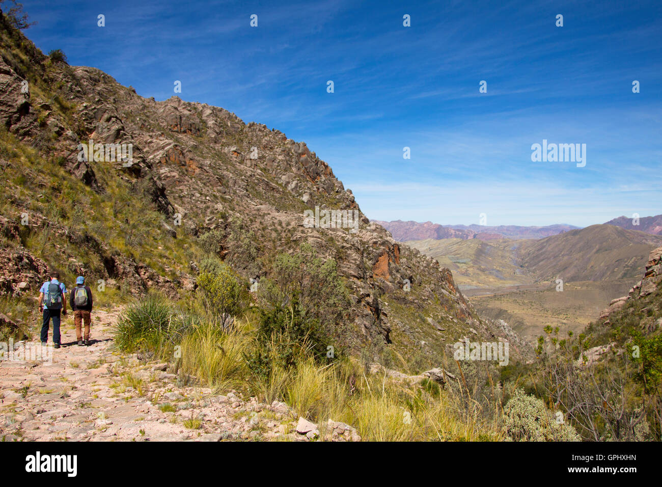Inca trail trekking in Bolivia Stock Photo - Alamy