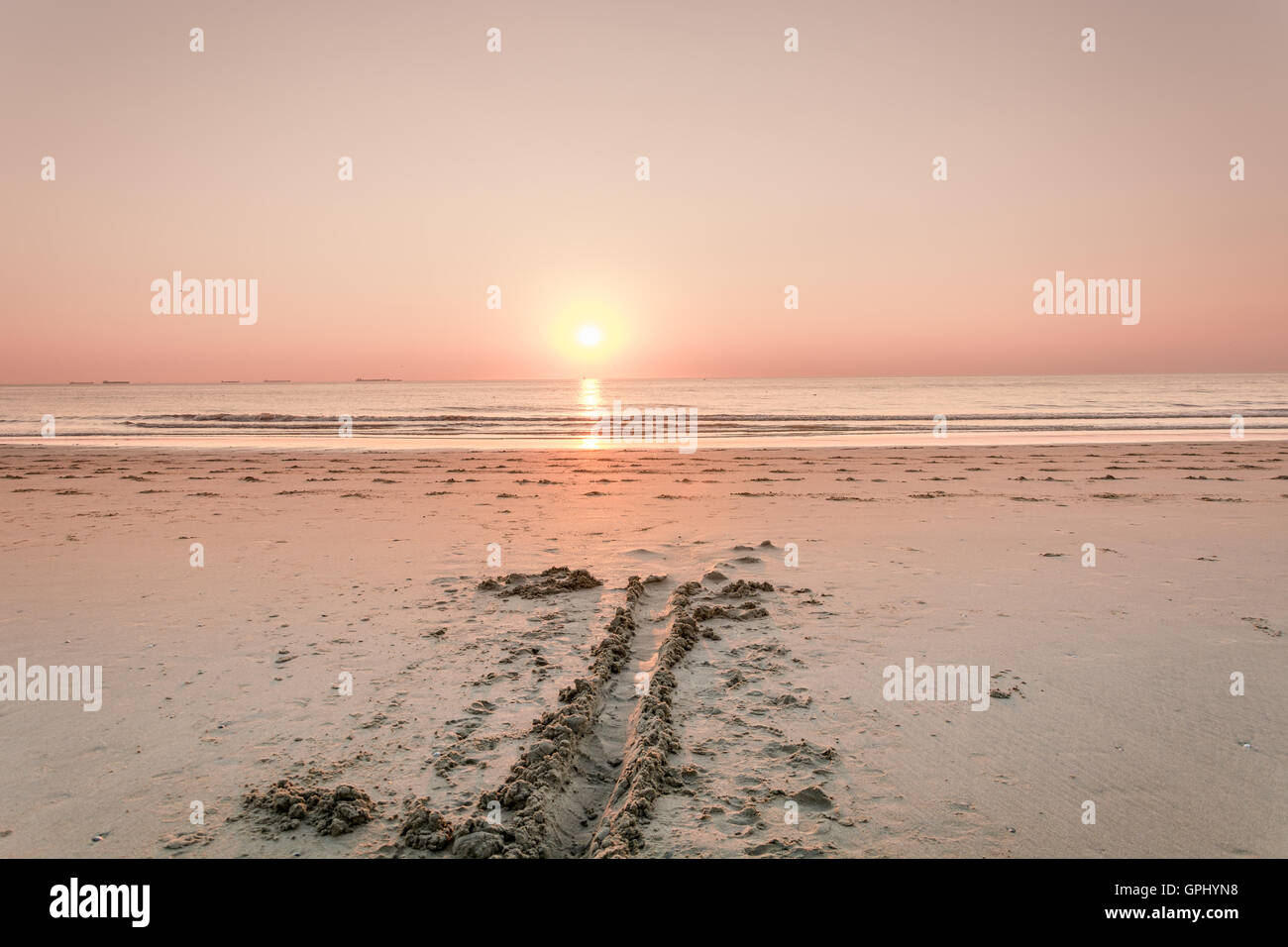 Beach holland hi-res stock photography and images - Alamy
