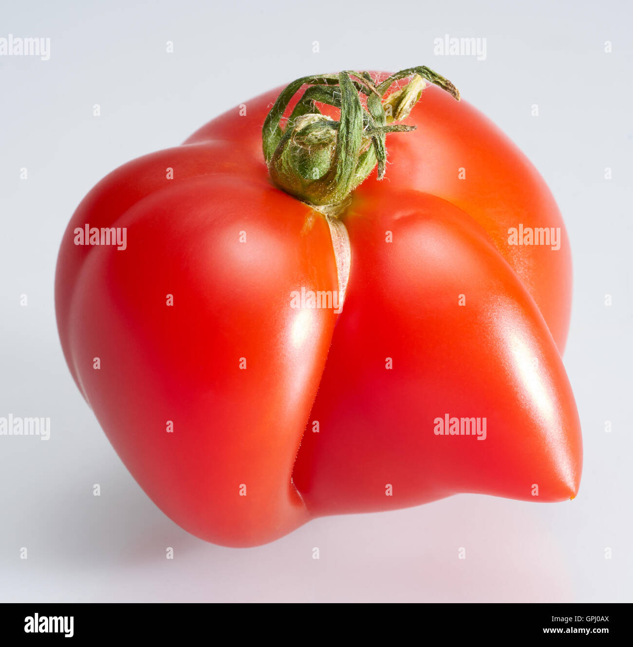 Tomato nose hi-res stock photography and images - Alamy