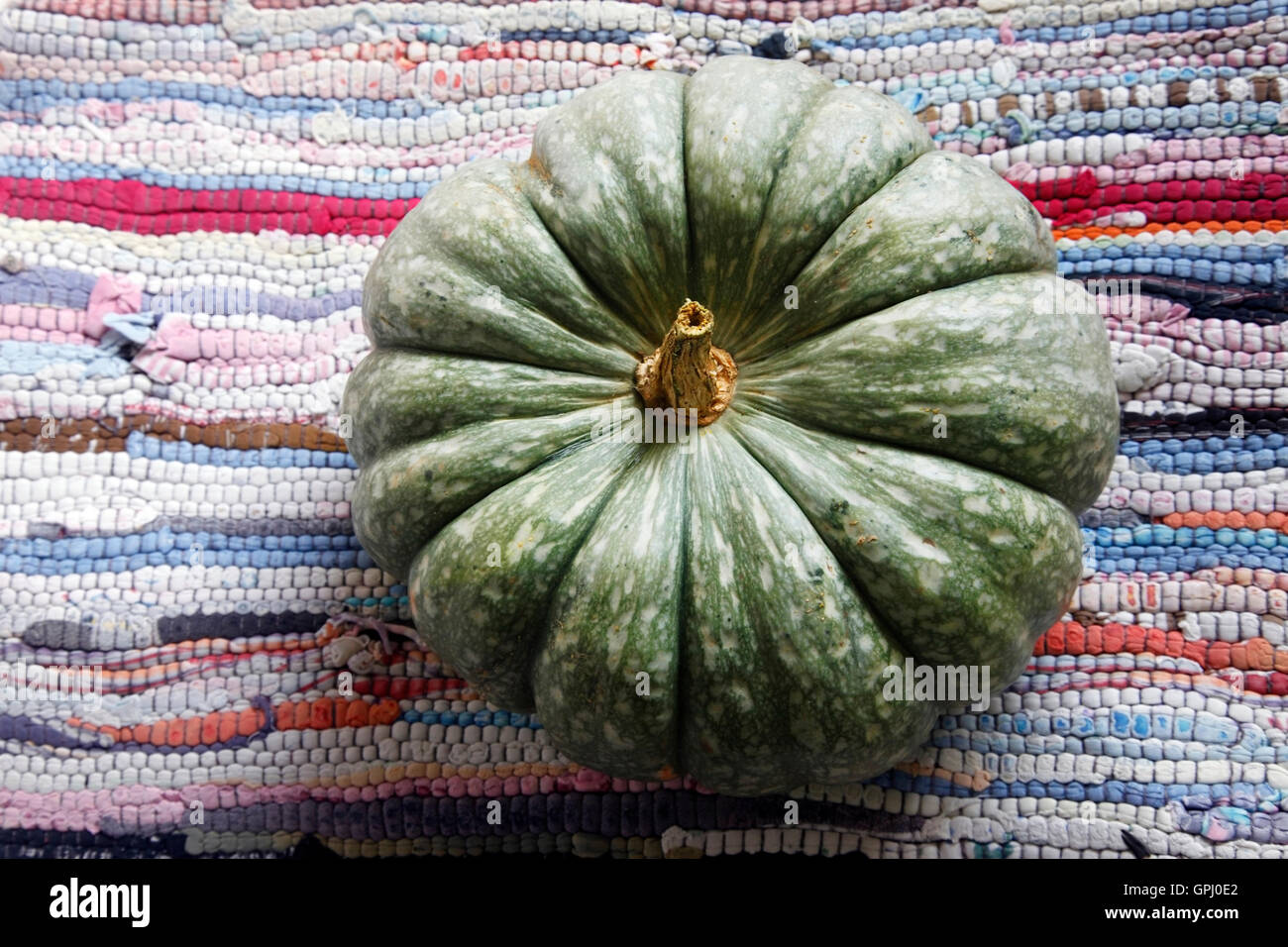 Big green pumpkin close-up Stock Photo - Alamy