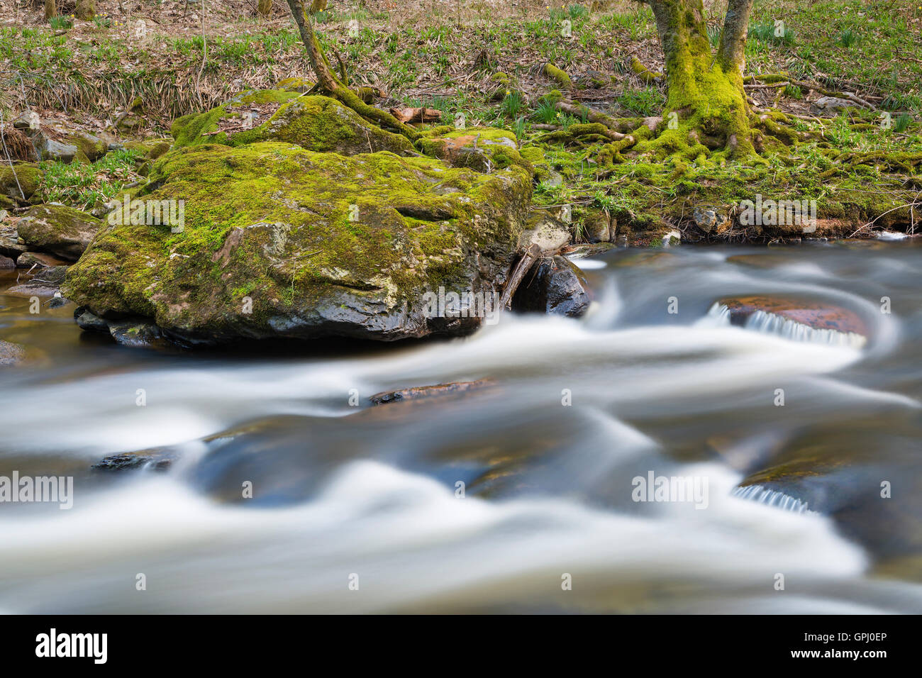 Long exposure shot of the Rur in the Eifel forest near Monschau ...