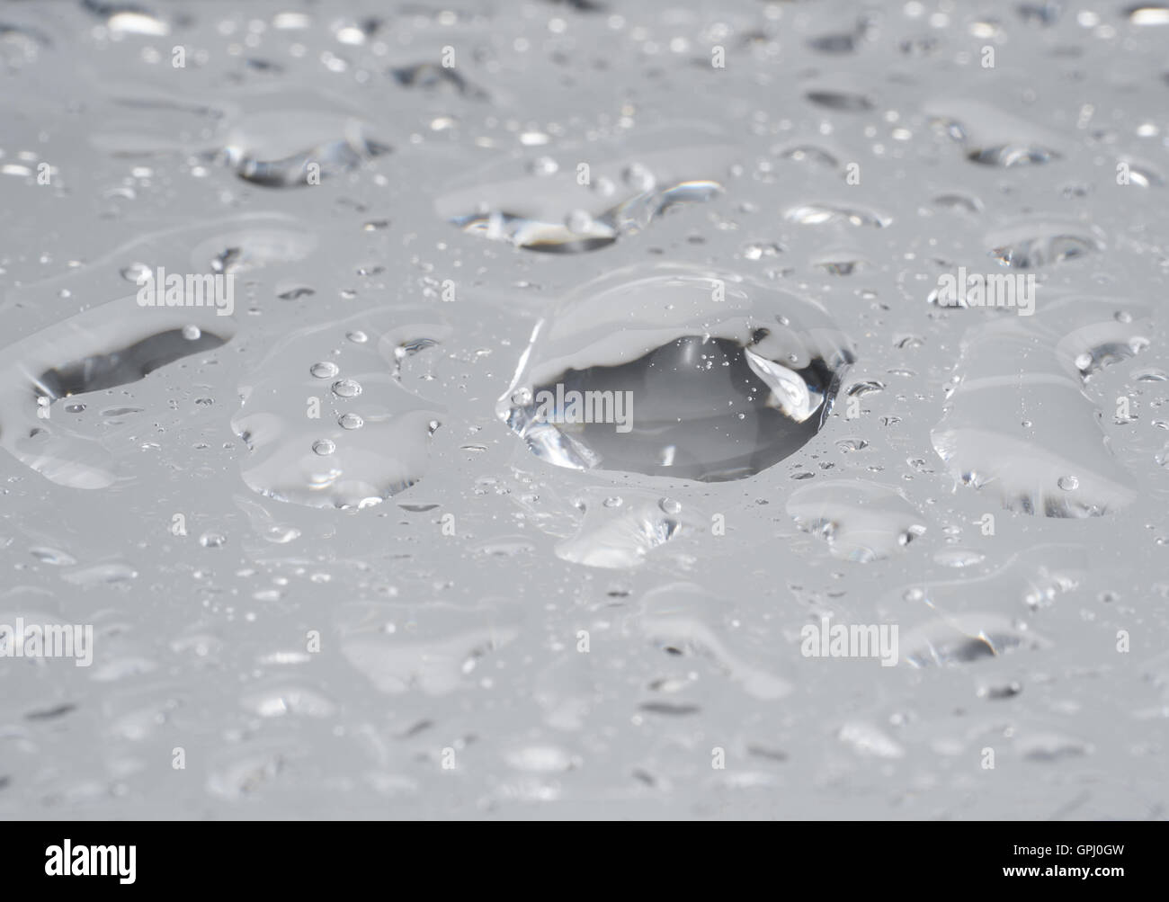 full frame dew drops closeup in grey back Stock Photo - Alamy