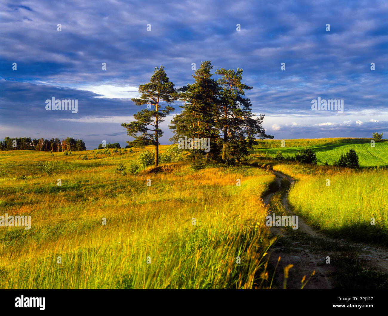 Poland road hi-res stock photography and images - Alamy