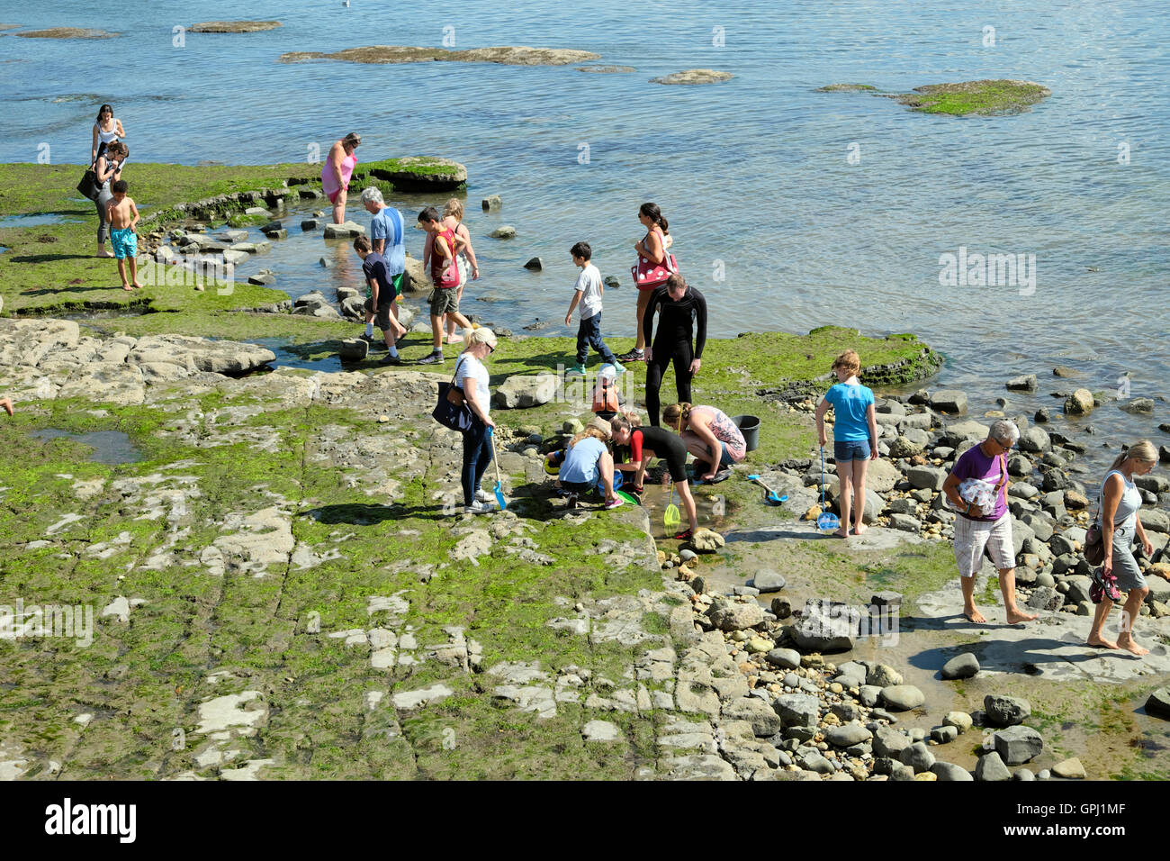 Rock Pooling Children High Resolution Stock Photography and Images - Alamy