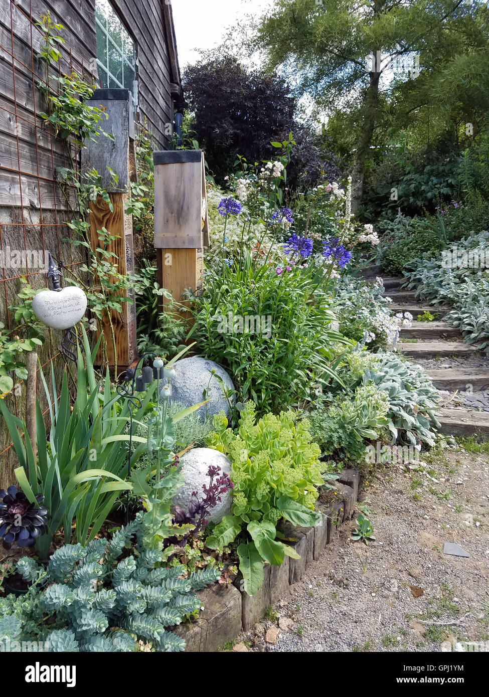 Fat plants hi-res stock photography and images - Alamy