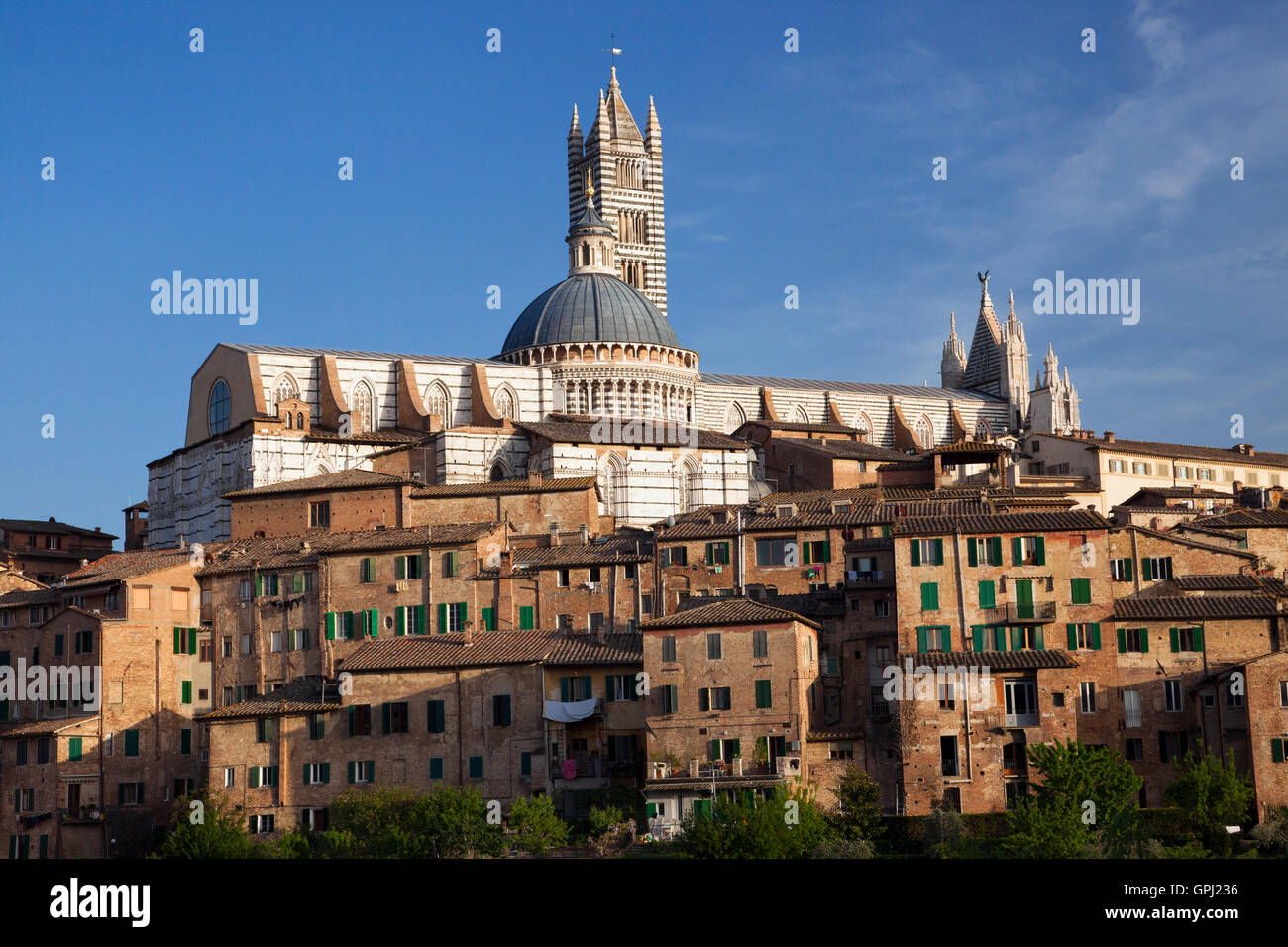 Medieval town siena cathedral skyline hi-res stock photography and ...