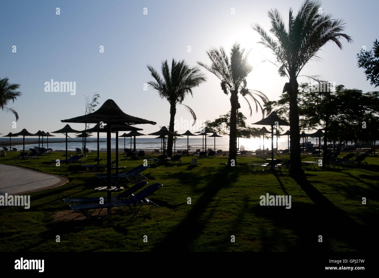 Hotel with palm trees hi-res stock photography and images - Alamy