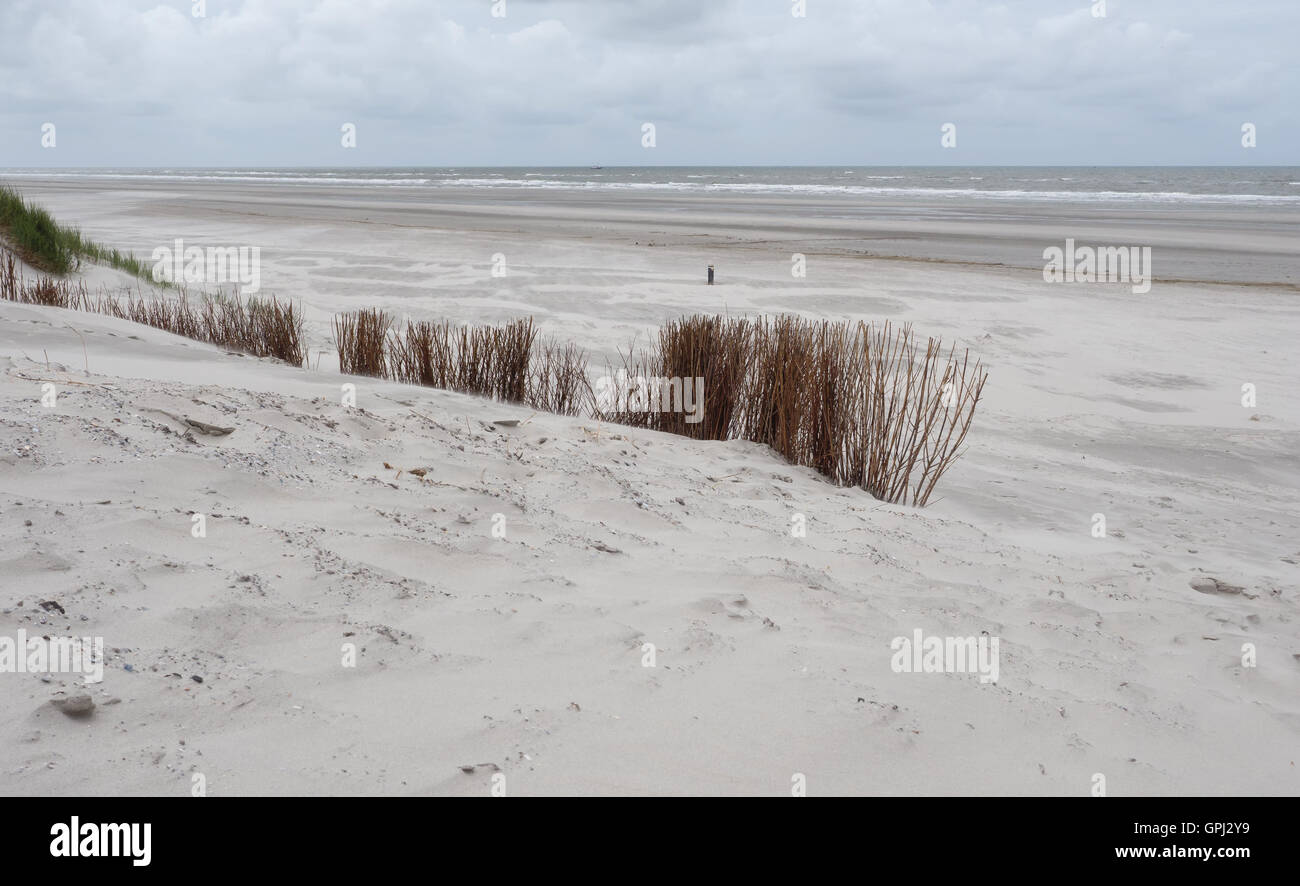 Marram grass dunes beach hi-res stock photography and images - Alamy